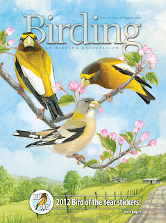 Birding Is Fun!: ABA Bird of the Year!