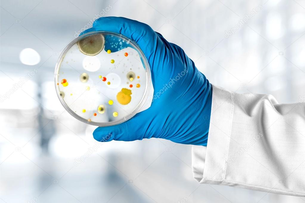 Forensic Microbiology