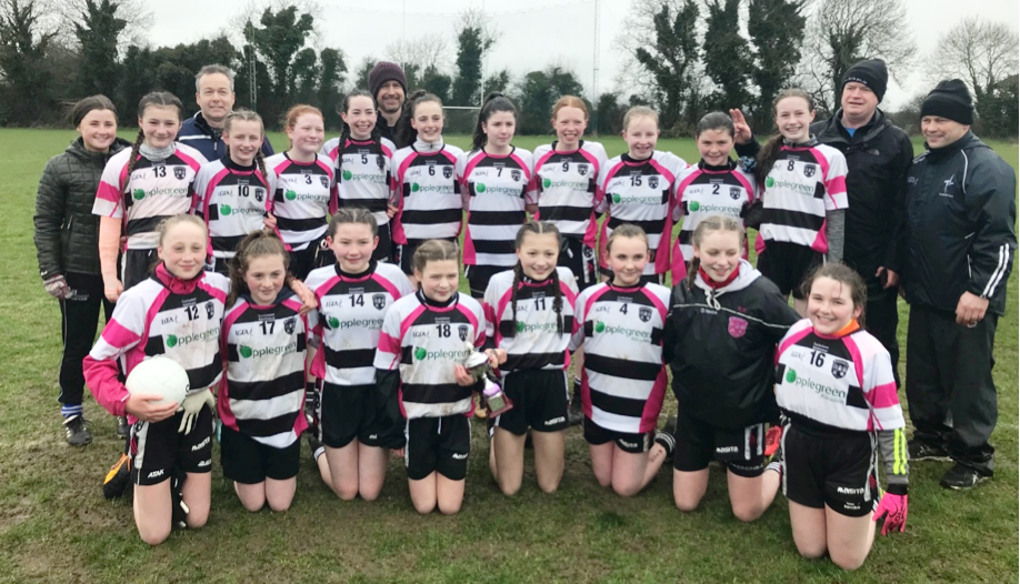 Kilcullen Diary: GAA Girls U14 Feile campaign
