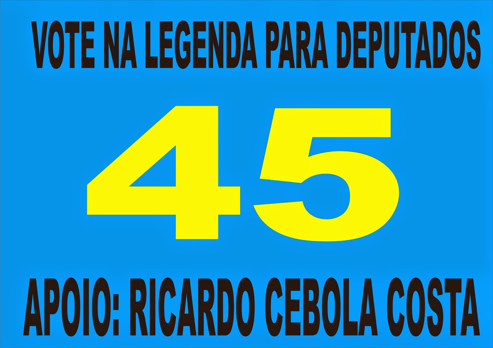 RICARDO ARAUJO - FOTO JORNALISMO: PSDB 45