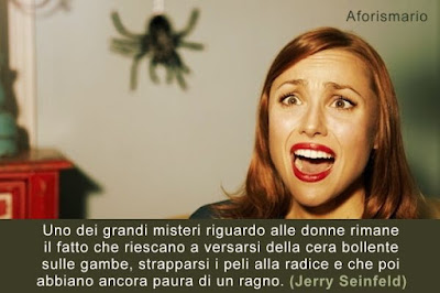 Frasi e proverbi sui Ragni e sulla Ragnatela | Aforismario