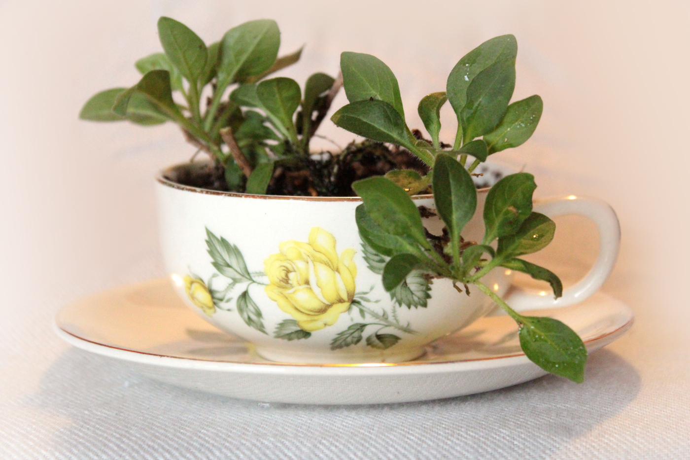 Thrift Trick: Tea Time: Ideas to upcycle thrifted teacups!
