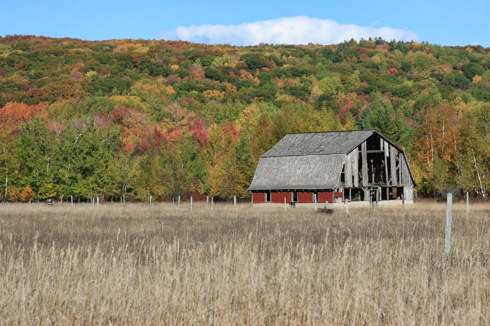 Isabella Conservation District Environmental Education Program: The ...