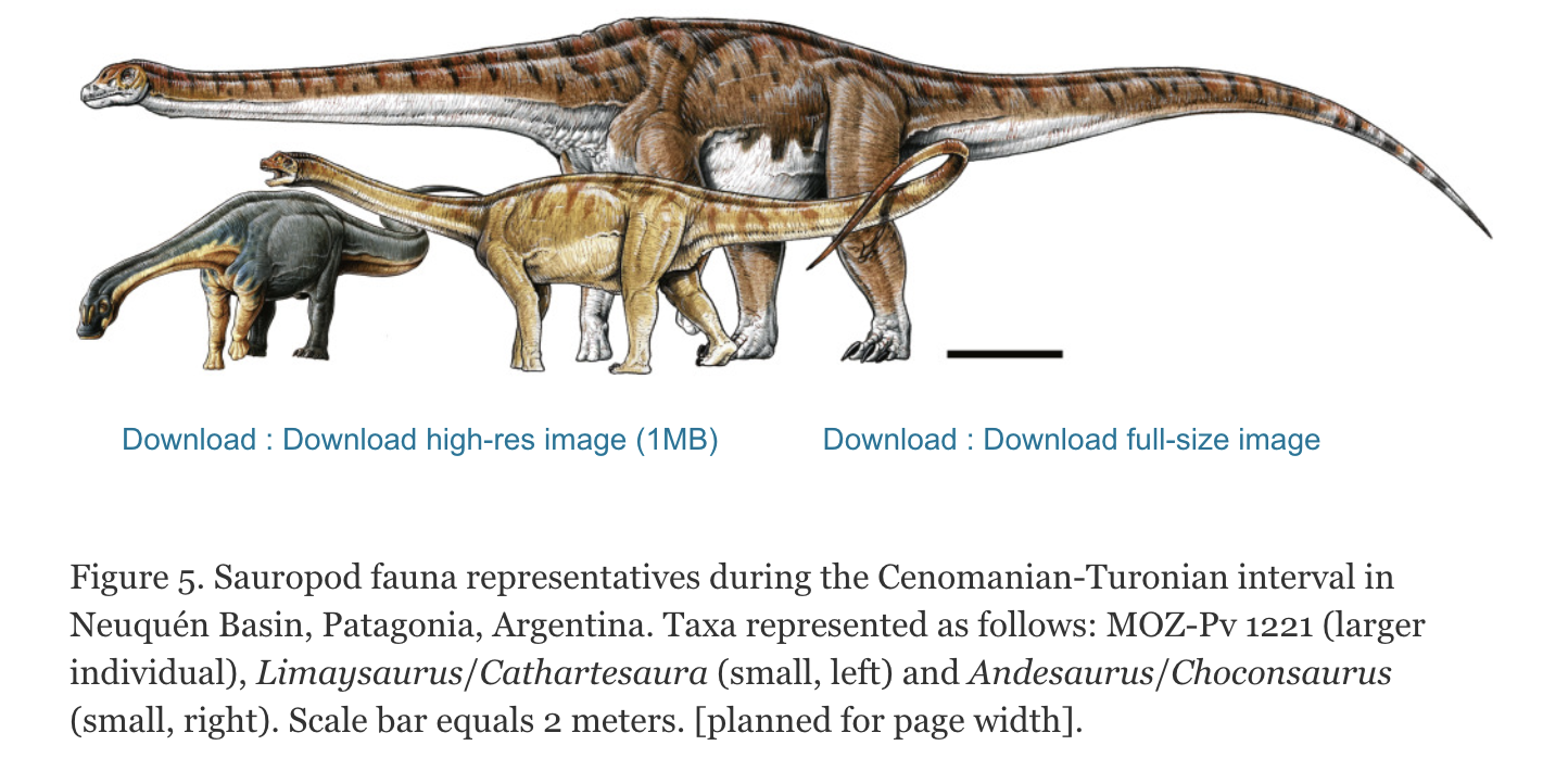 My Prehistoric Saga: News: New Giant Titanosaur Coexisted with ...