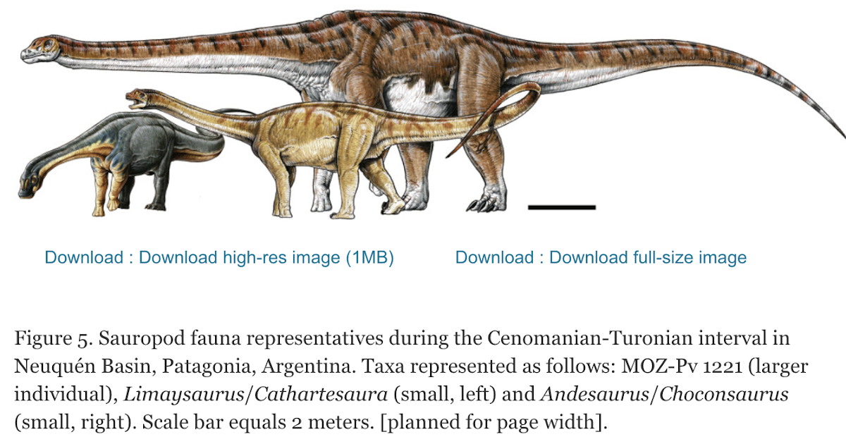 My Prehistoric Saga: News: New Giant Titanosaur Coexisted with ...