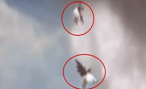 7 Mysterious Flying Creatures and Things Caught on Camera | Evortless
