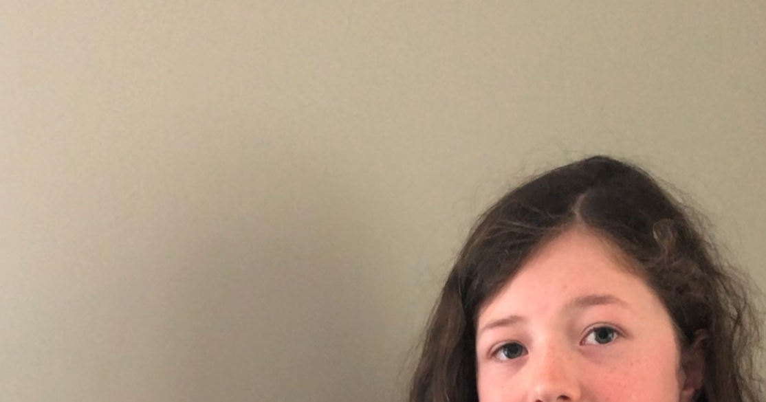 Fifth Grade Blog: Newbery Book Report Projects