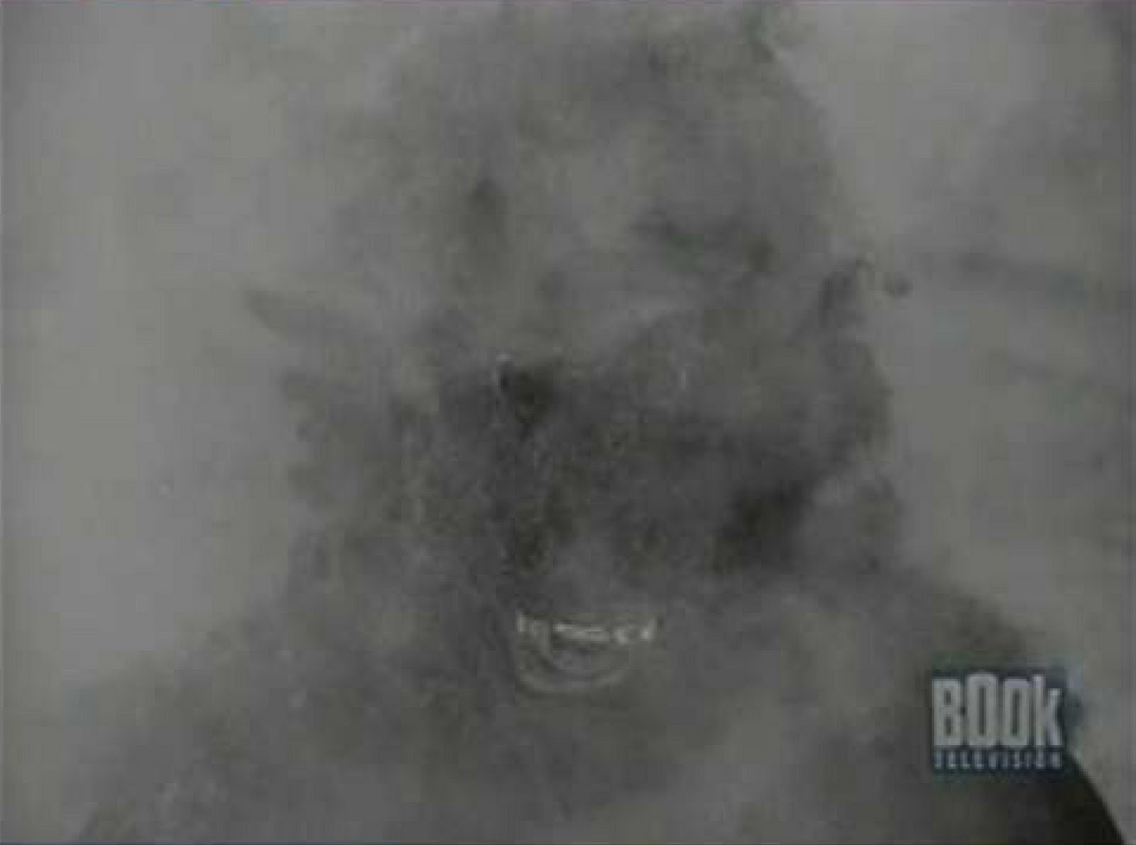 bare•bones e-zine: Robert Bloch on TV Part Five- Alfred Hitchcock ...