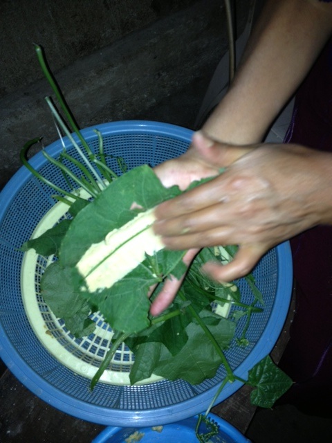 BPS: Educator Service Learning Trip to Guatemala : Day Five: Learning ...