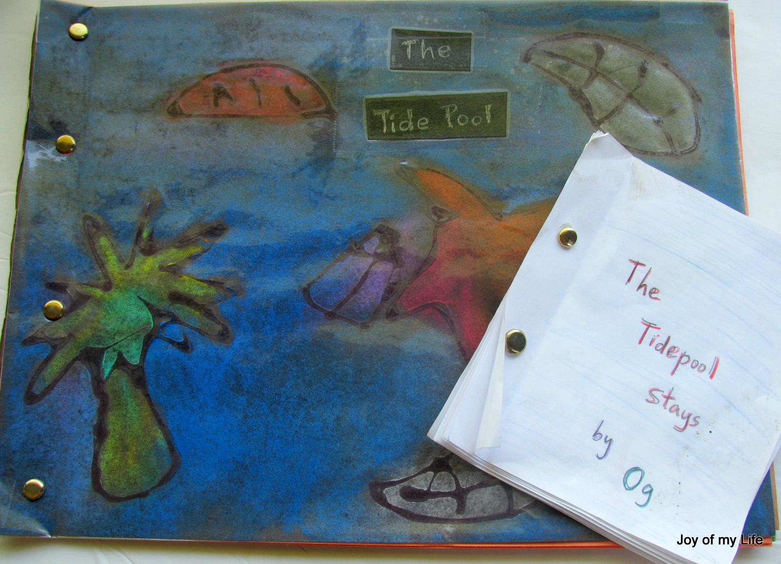 The Joy of My Life, and other things: A (Bigger and More Colorful) Tide ...