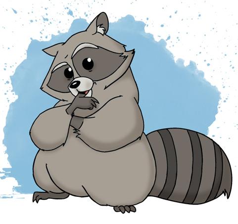 RECURSOS y ACTIVIDADES para Educación Infantil: Imagenes a color: MAPACHE