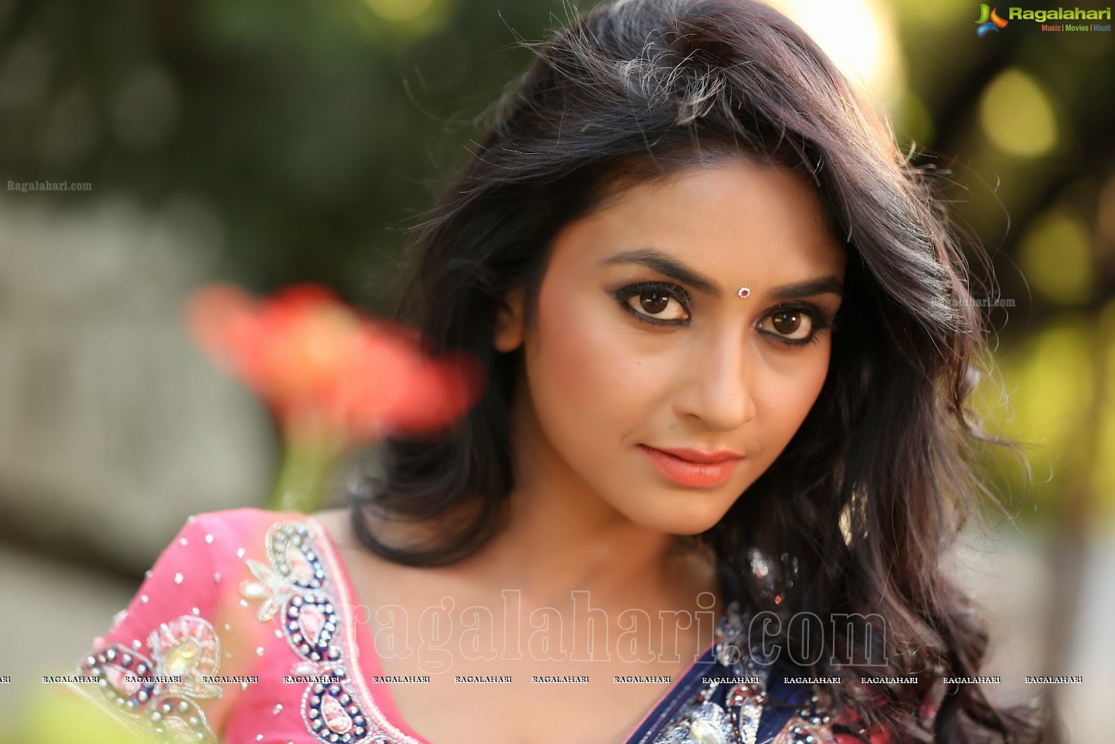 Actress Pooja Sree Saree Photos | Actress Saree Photos|Saree Photos|Hot ...