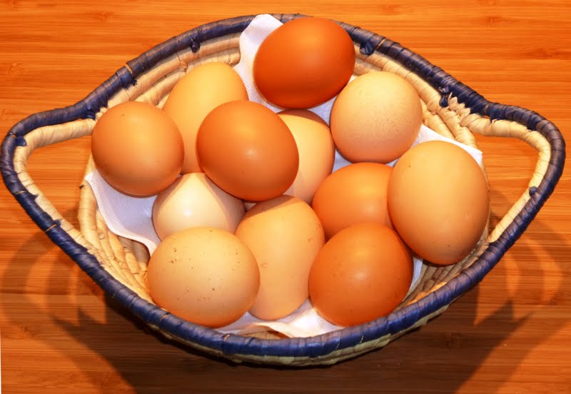 The Iowa Housewife: Make it Yourself - Using Eggs