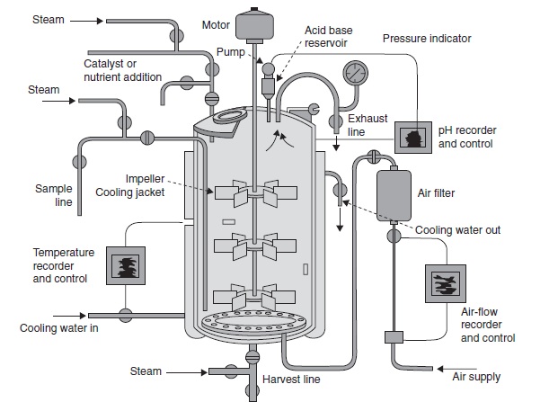 Microbiology Techniques: Fermentation Technology