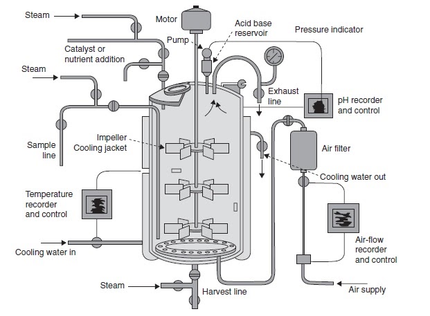 Microbiology Techniques: Fermentation Technology