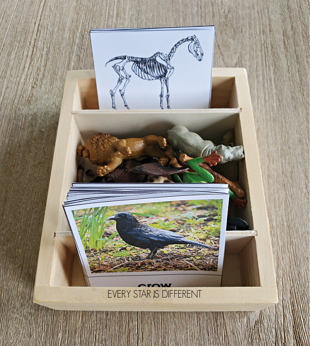 Day of the Dead Skeleton Activities with Free Printable - Every Star Is ...