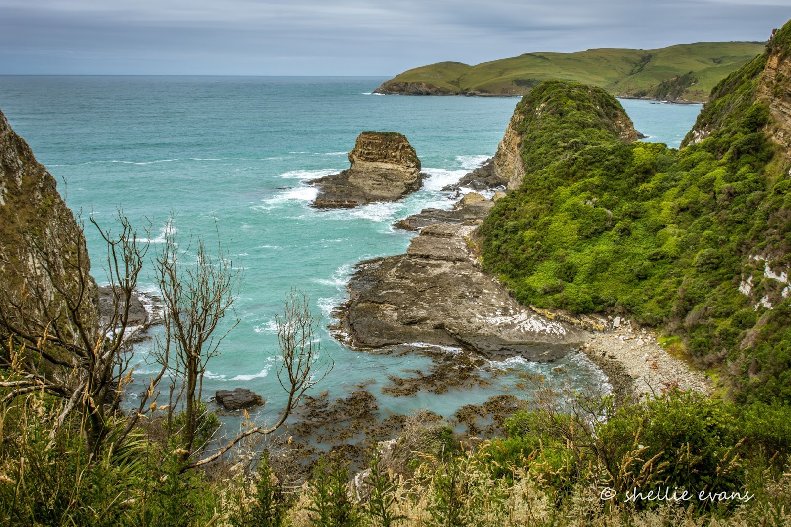 Two Go Tiki Touring: 'Monsters' From the Sea- Catlins; Part 2