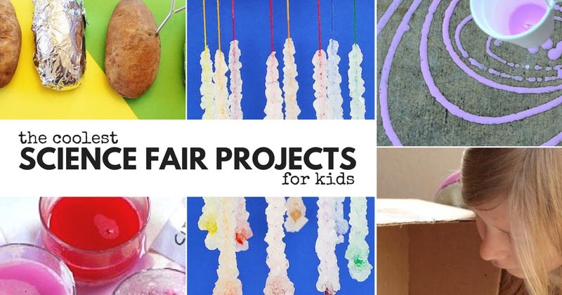 Eight Steps to a Great Science Fair Project
