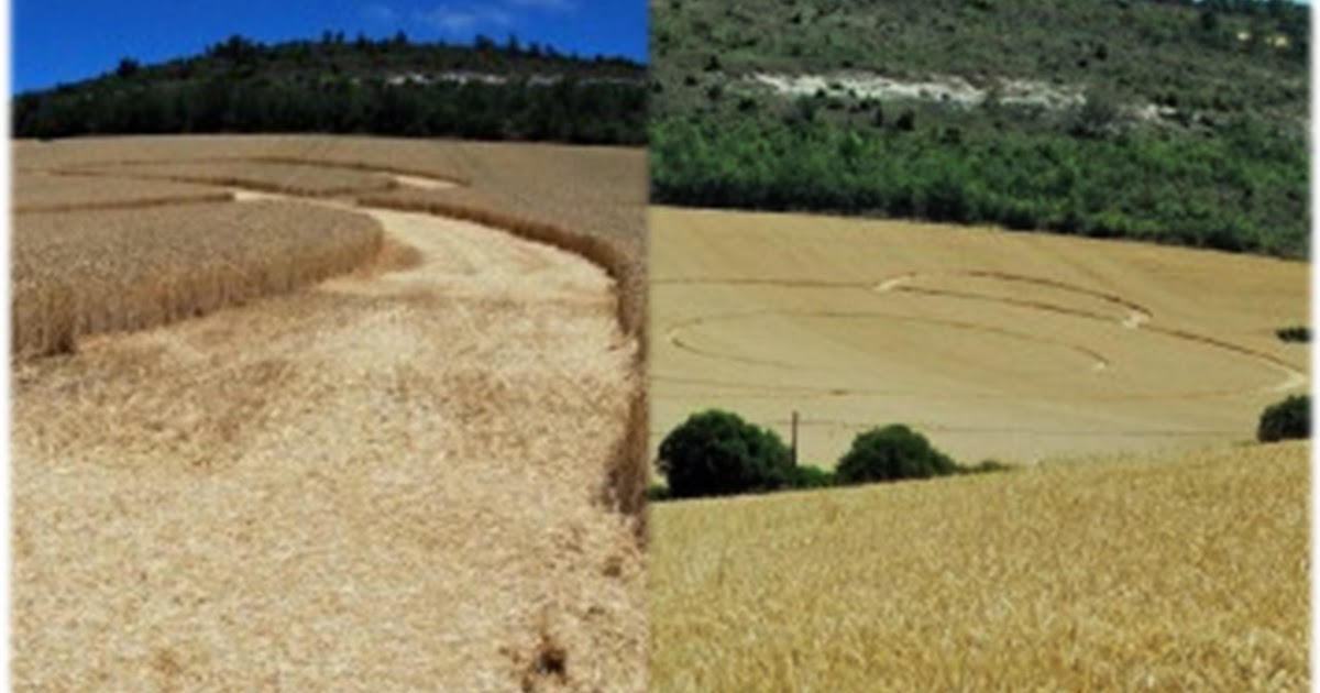 LOS “CROP CIRCLES” DE TREVIÑO, UN FRAUDE RECURRENTE