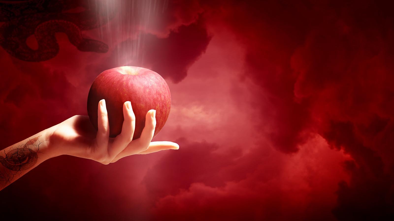 WHAT IS ORIGINAL SIN