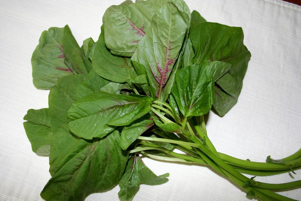 Names In Tamil Amaranth In Tamil