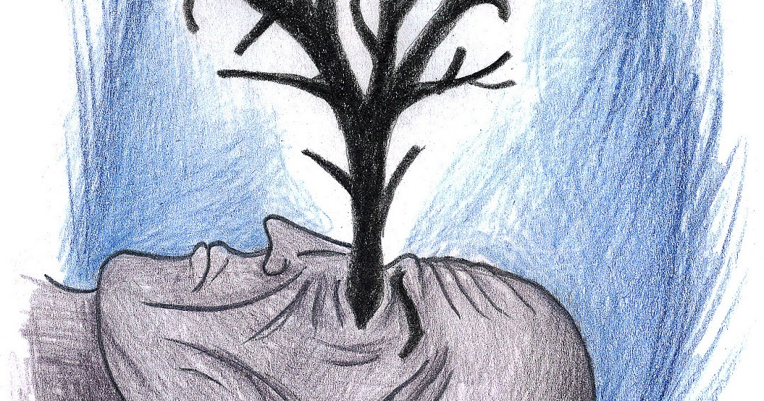 Bible Illustrated: Matthew 7