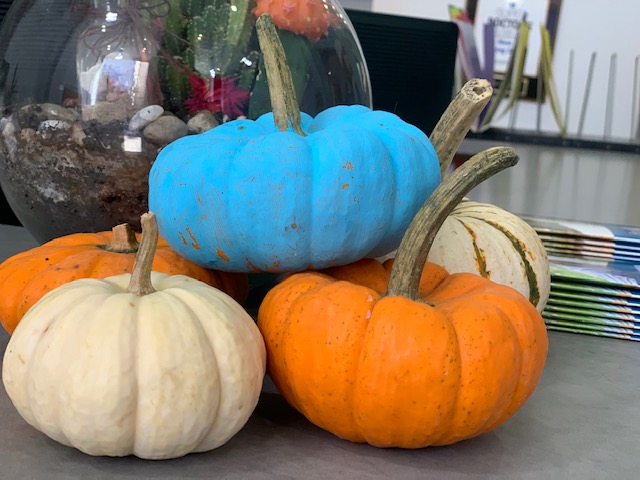 Itchy and Scratchy: Halloween and Food Allergy- What is the Teal ...