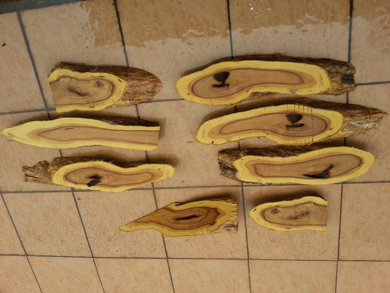 Kayu Warisan Malaysia: Kayu Kemuning emas