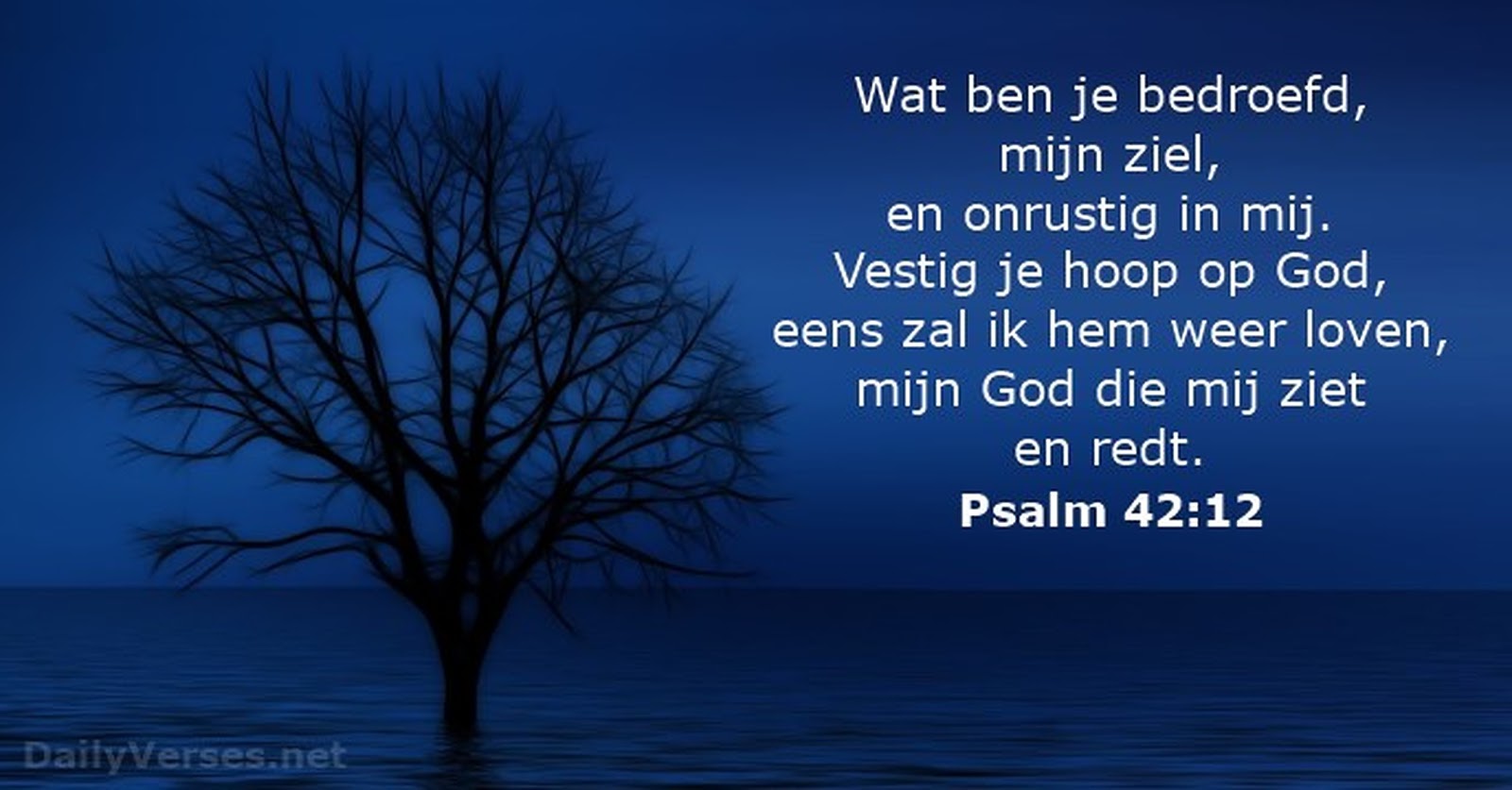 JEZUS en MARIA Groep.: WAAR HOOP JE OP?