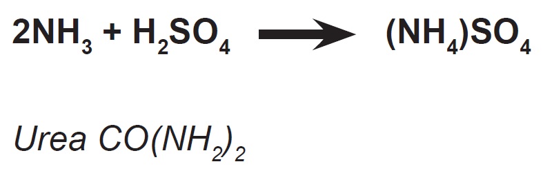 Macam-Macam Pupuk Nitrogen (N) | Saraswati Update