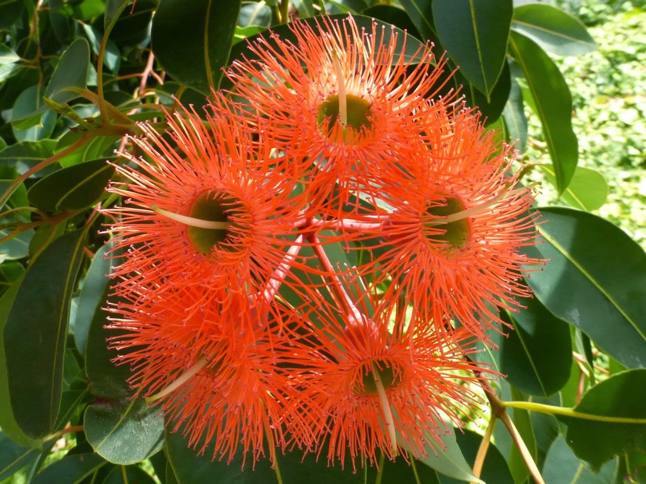 Sunny Side Up: Colors of UCSD