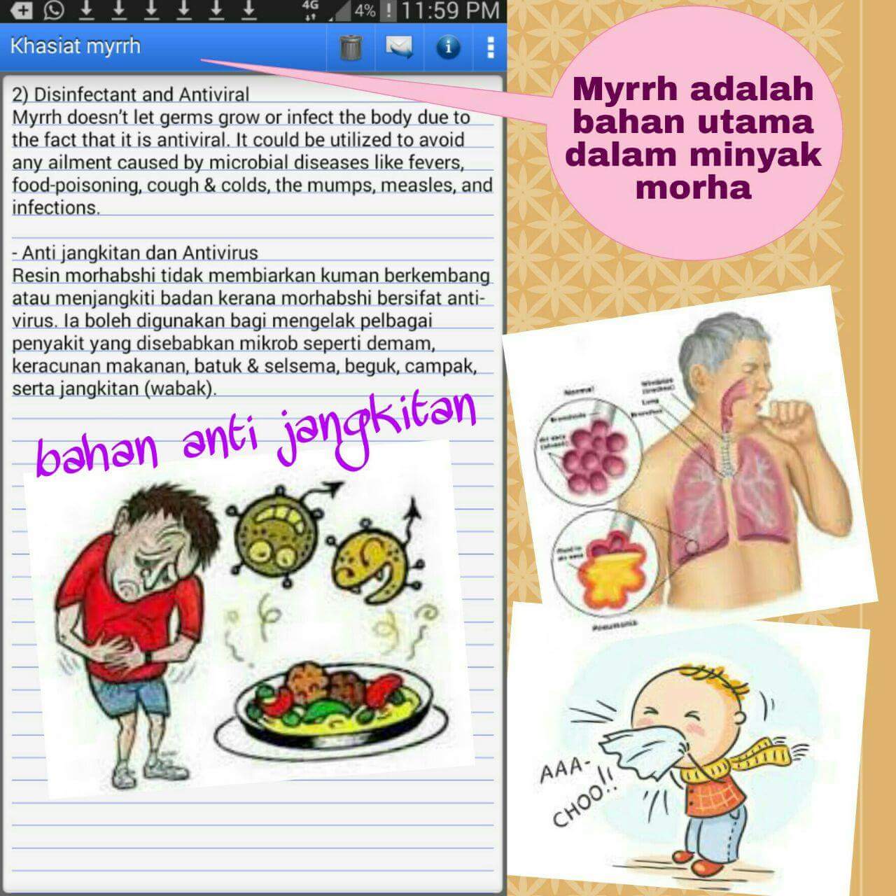 Dah ada Minyak Morha?: Khasiat unik myrrh