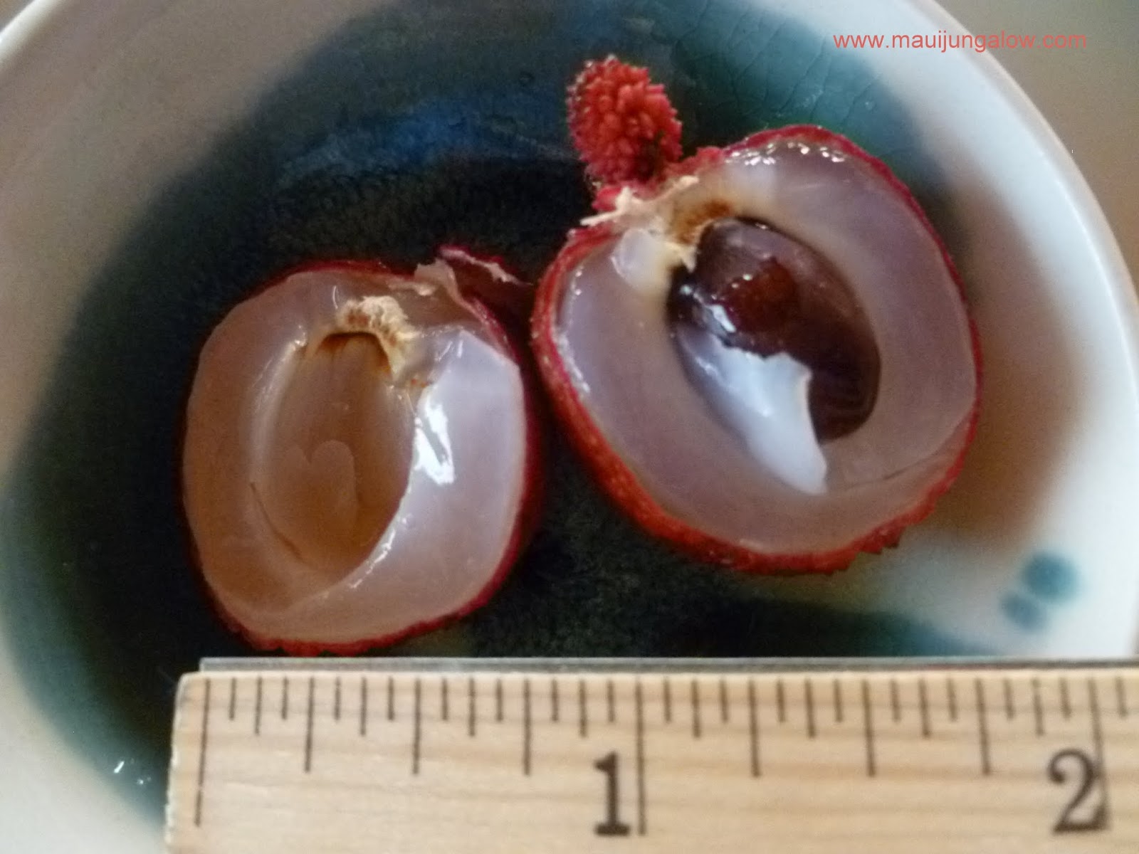 Maui Jungalow: Lychee Season and a Story