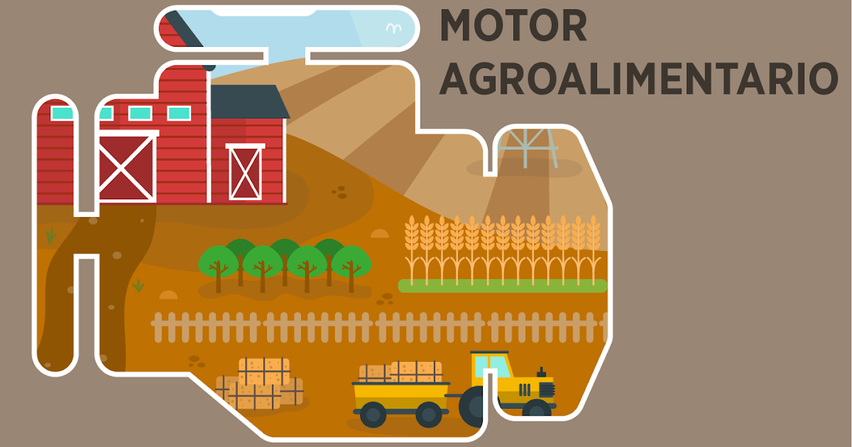 Proyecto Nacional M1 Grupo 11 T.I.: 15 Motores Económicos
