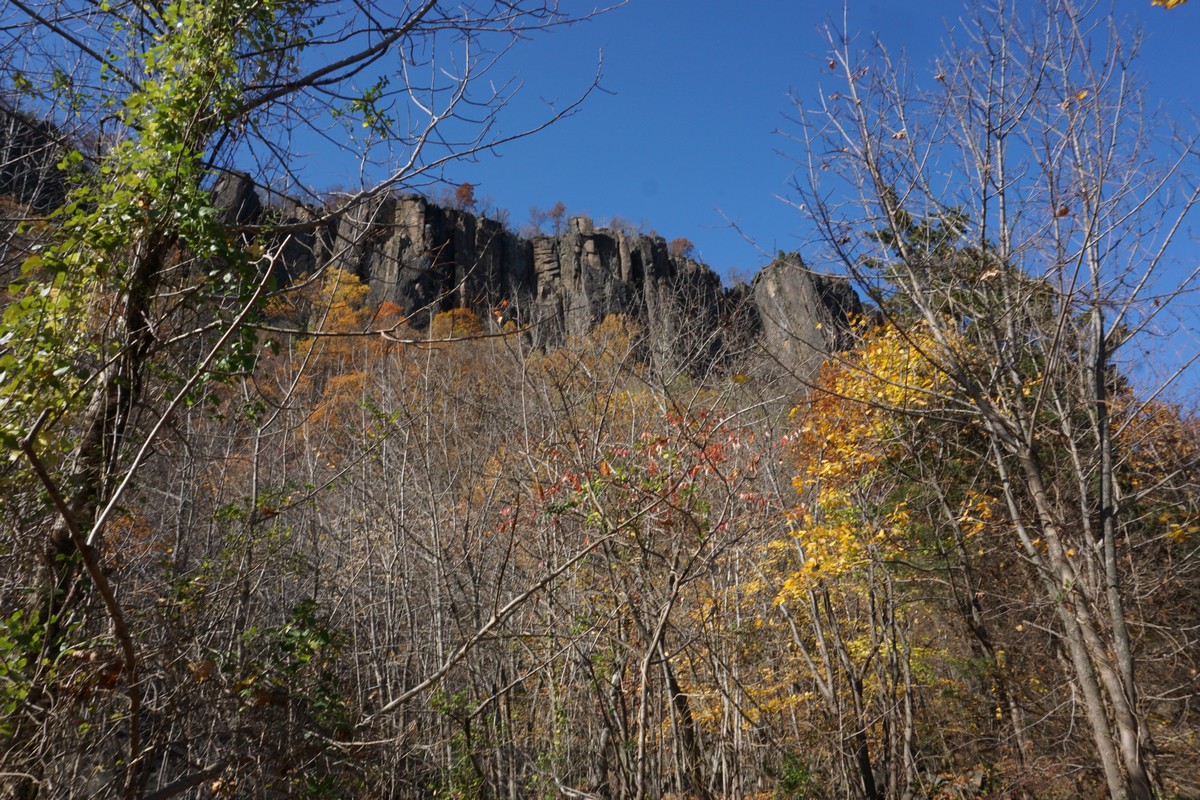 Harriman Hiker: Harriman State Park and Beyond: Forest View Trail to ...