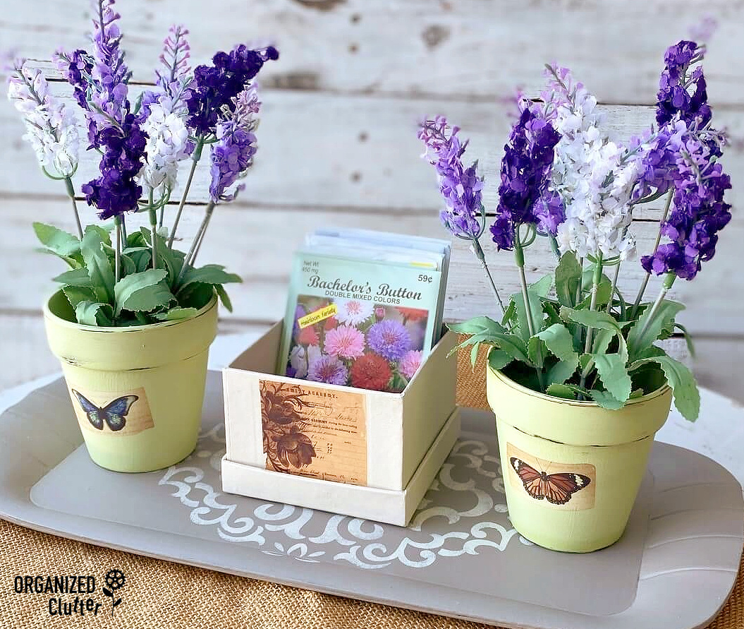 Spring Decor With Dollar Tree Pots, Boxes, Floral Stems, and Seed ...