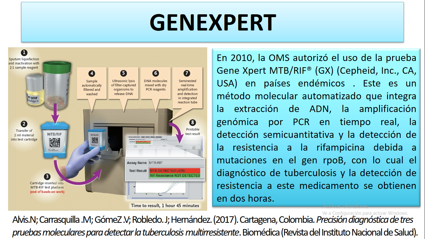 educacionytics: SEMINARIO DE TUBERCULOSIS