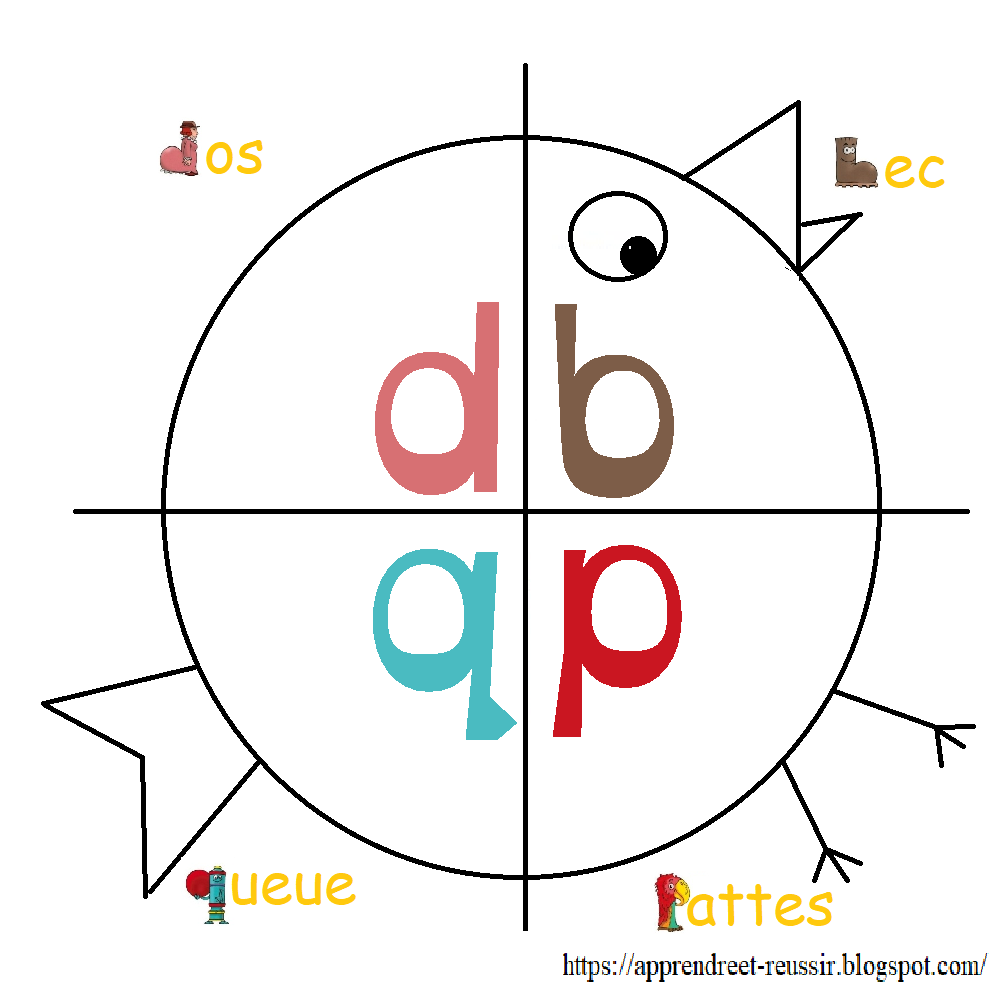 Le poussin de confusion d-b-q-p