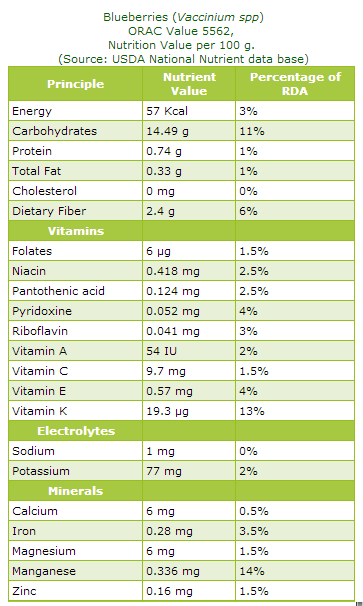 Health Benefits of Blueberries