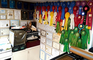 Annie Strack news: Artist Tips: Original Work in Art Shows