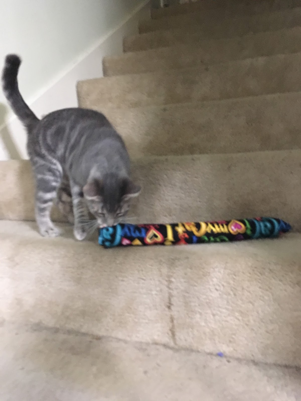 Kitty Kick Stix Catnip Kicker Toy - Review and Giveaway!