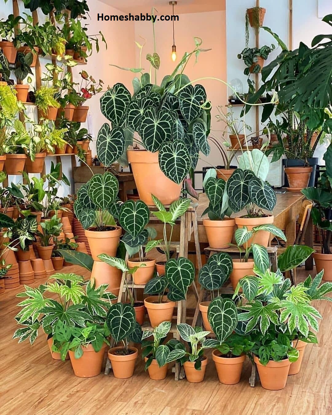 7 Ide Menata Taman Kecil Dengan Pot Yang Cantik, Solusi Lahan Sempit ...