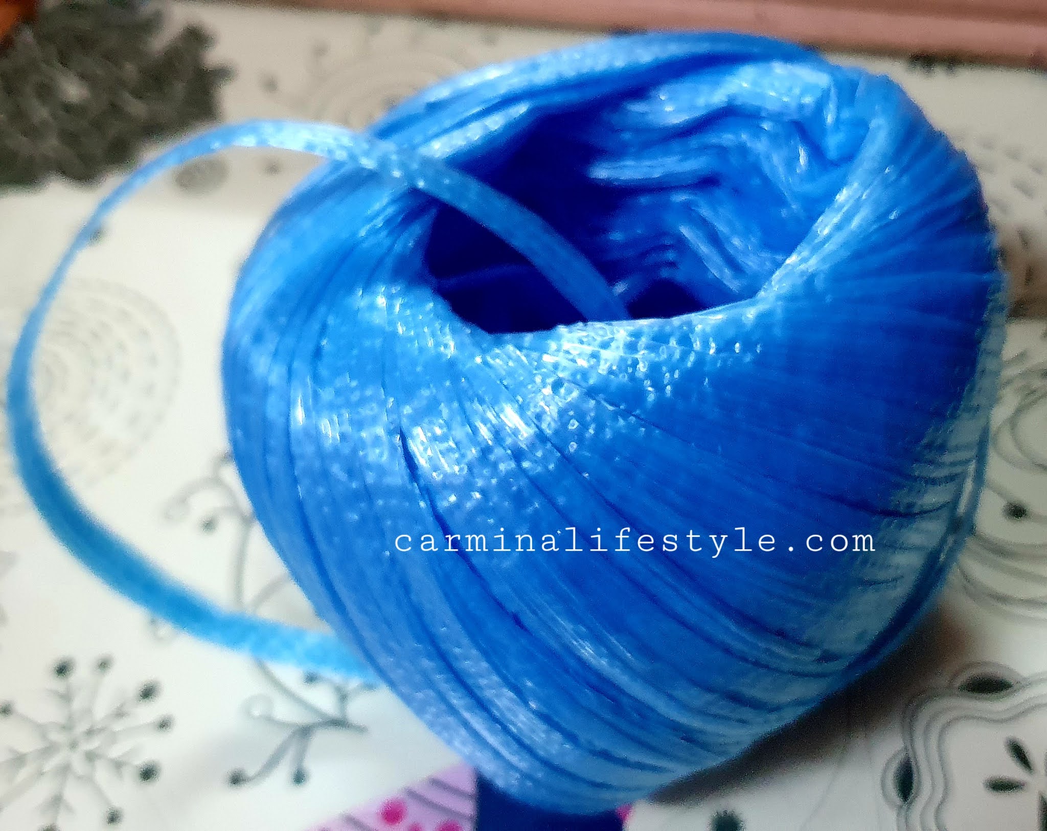 Plastic Tale Straw String