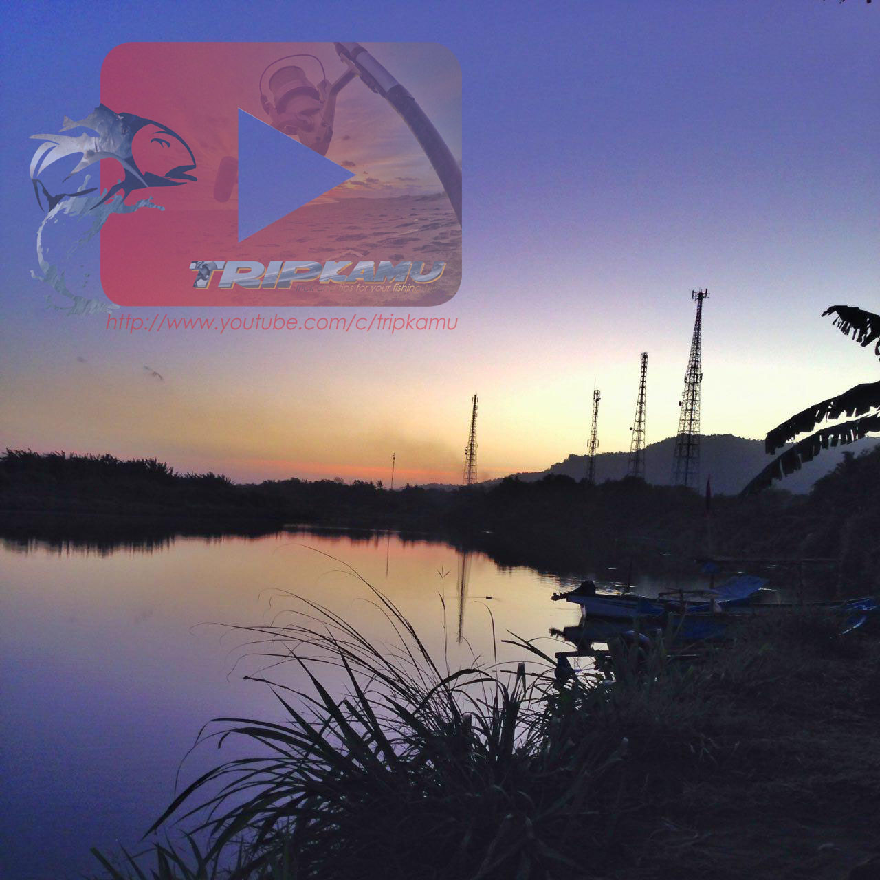 Jenis Ikan-Ikan di Perairan Mangrove dan Muara (payau)