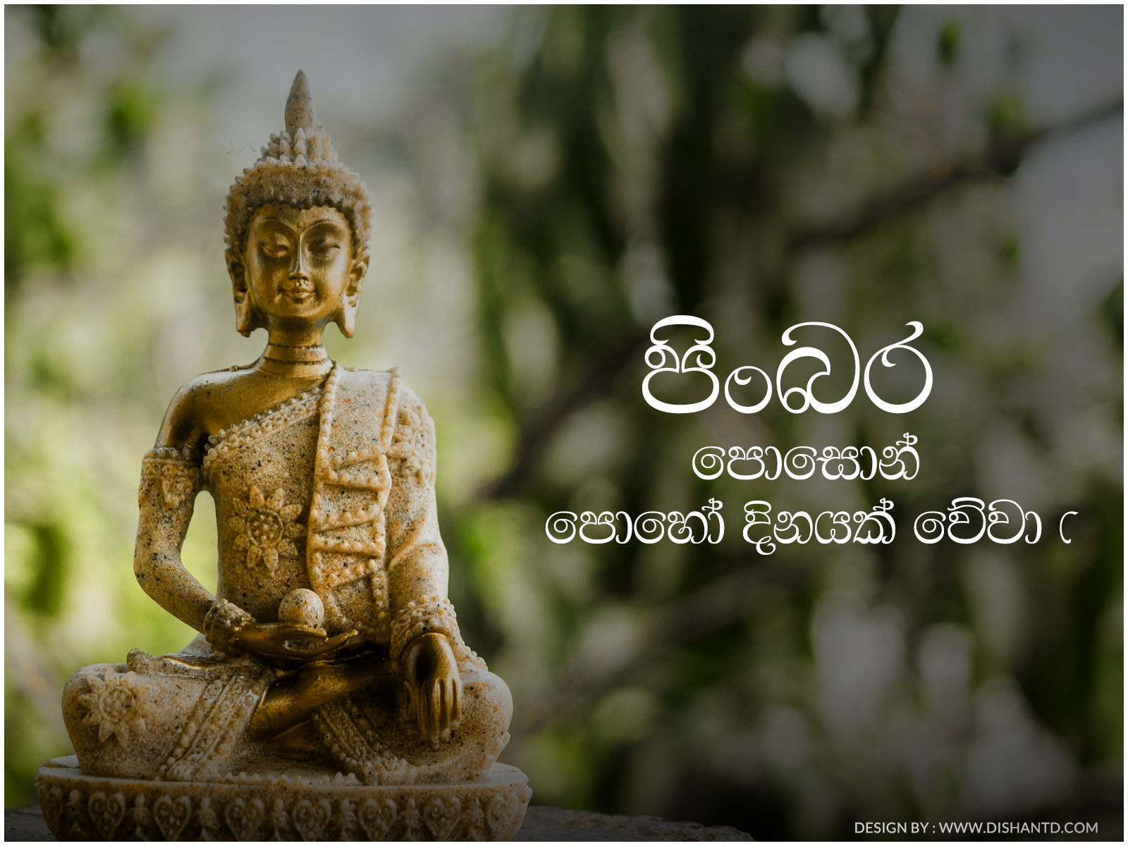 Poson Poya day - පිංබර පොසොන් පොහෝ දිනයක් වේවා ! - sinhala Readers ...