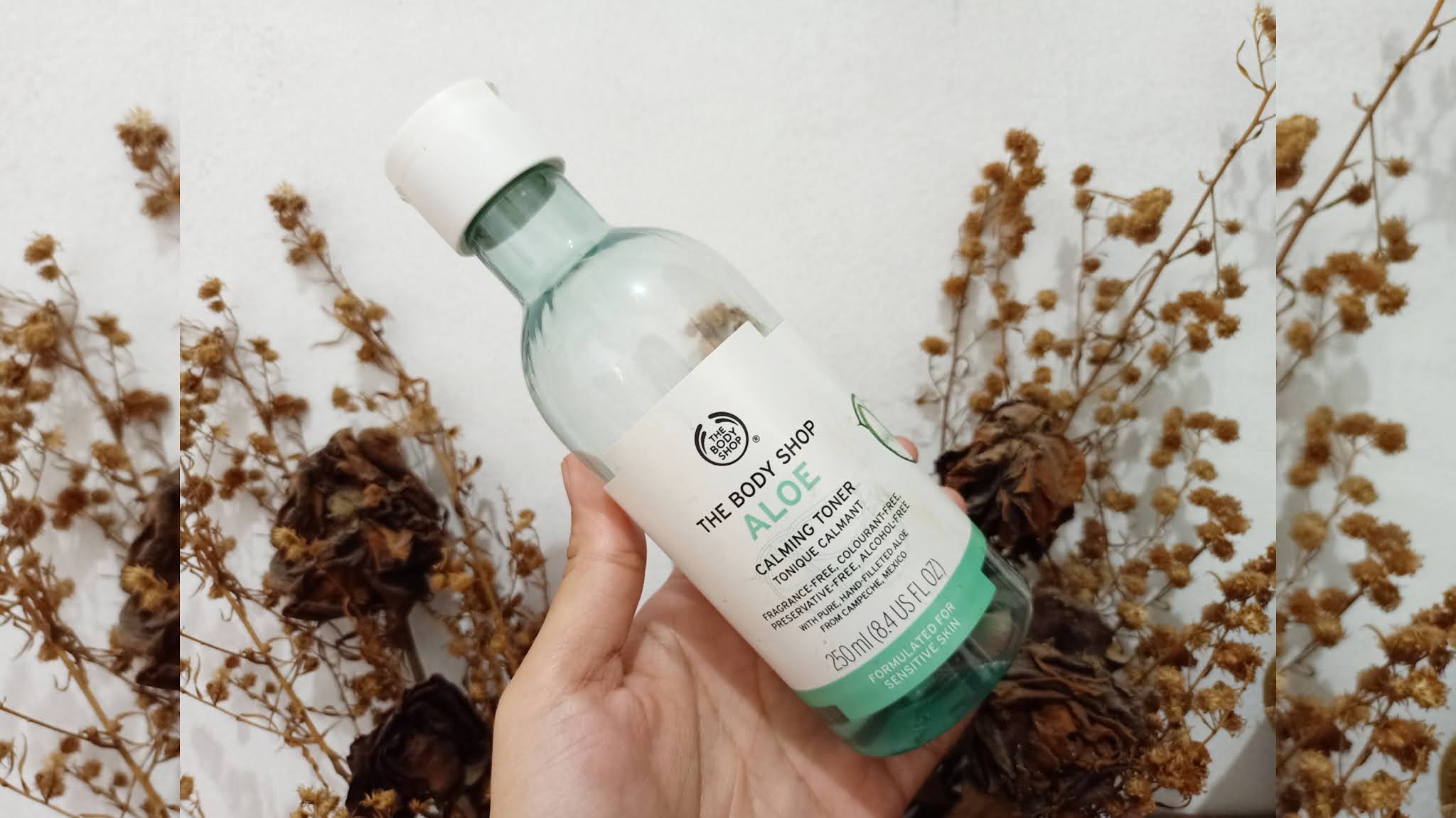 Review The Body Shop Aloe Calming Toner - Fun Beauty Traveler