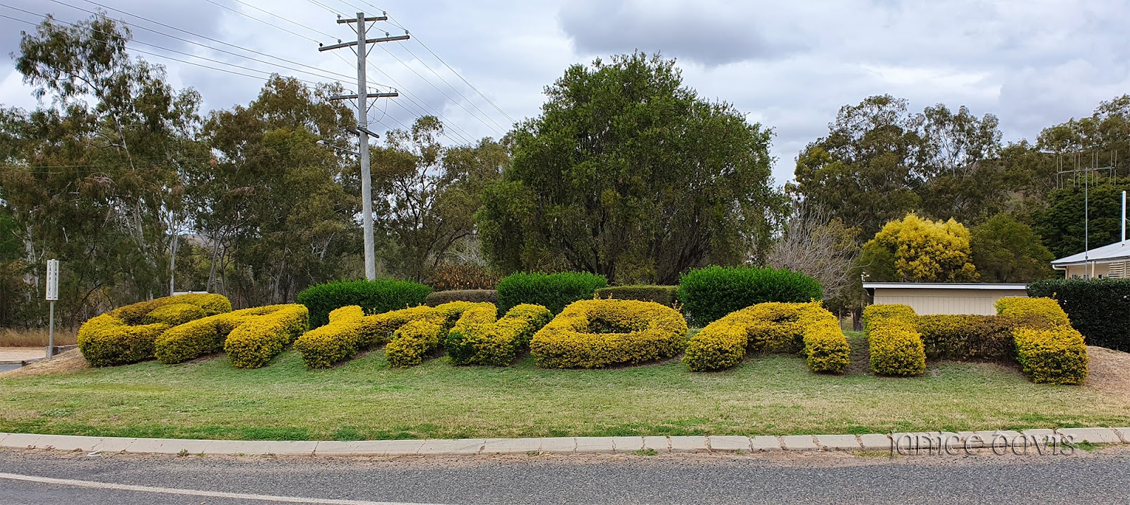 thoughts & happenings: Gayndah, Queensland