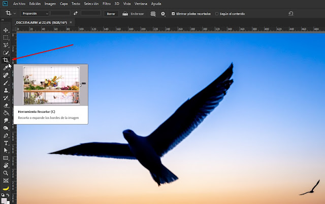 Recortar fotos - para qué vale y cómo se hace - Fotolarios
