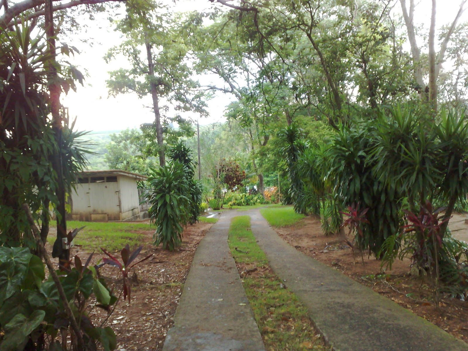 IMÓVEIS EM MARÍLIA - SP - PADOVAN CONSULTORIA: Sitio ideal pra lazer.