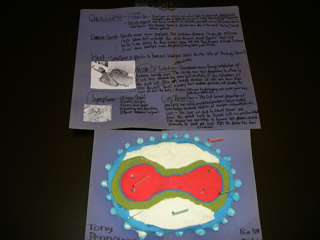 Bronxville Science Department: Honors Biology II Virus Projects